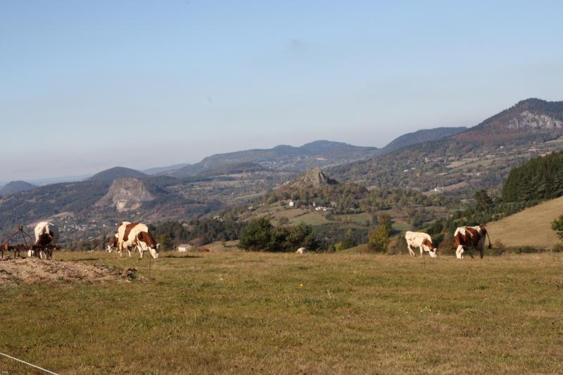 Lait de montagne | Objectif : 3000 producteurs engagés dans la marque ...