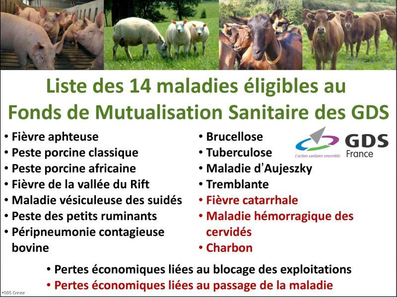 Conseil d’Administration de GDS Creuse | Fonds de mutualisation, maîtrise des risques sanitaires ...