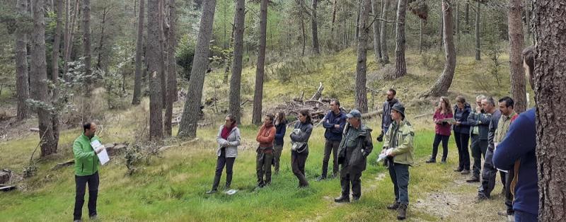 La sylviculture irrégulière se taille une place en forêt | Agriculture ... La sylviculture irrégulière se taille une place en forêt | Agriculture ...