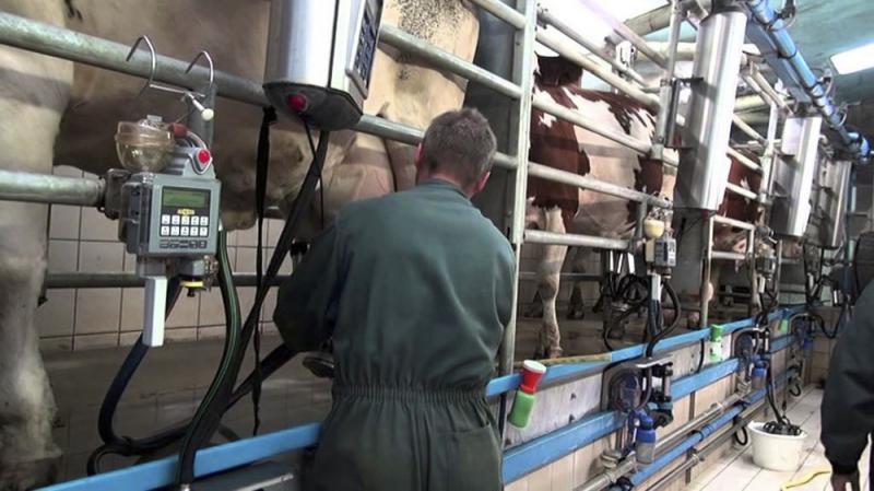 Un mouchard au service de la qualité de traite et du lait | Agriculture ...