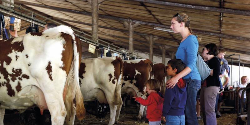 Tourisme rural : une saison estivale 2021 pleine d’espoir | Agriculture ...