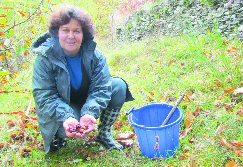 Acteurs du territoire | Nadia Vidal : la châtaigne comme cheval de ...