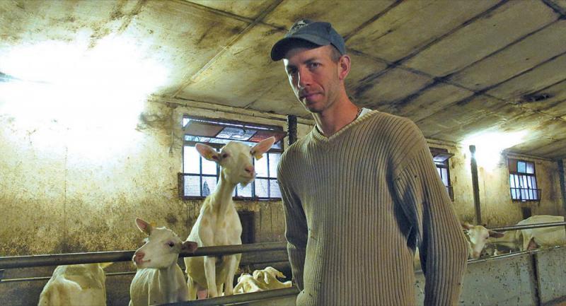 Un temps record pour s’installer en caprin lait | Agriculture Massif ...