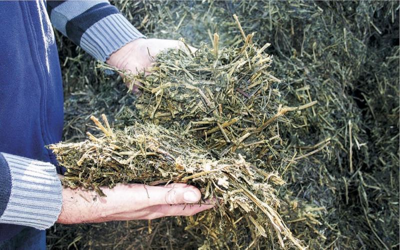 Réussir ses ensilages d'herbe | Agriculture Massif central | PAMAC