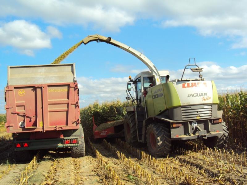 Technique | Réussir son ensilage de maïs | Agriculture Massif central ...