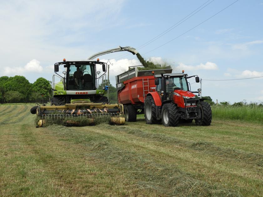 ENSILAGE | Herbe : récolte chaotique et piètre qualité des fourrages ...