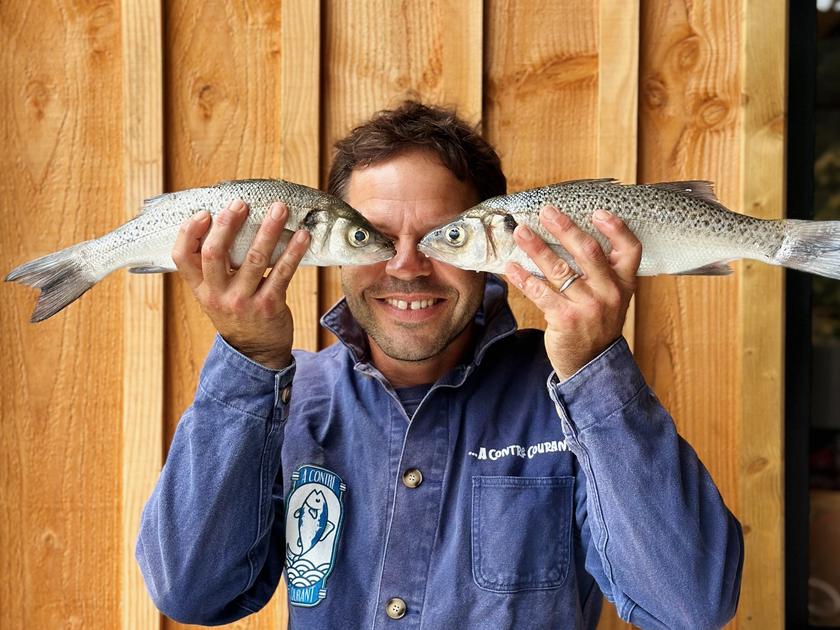 PARCOURS | Qui est cet Oléronais qui alimente le Cantal en poissons ...