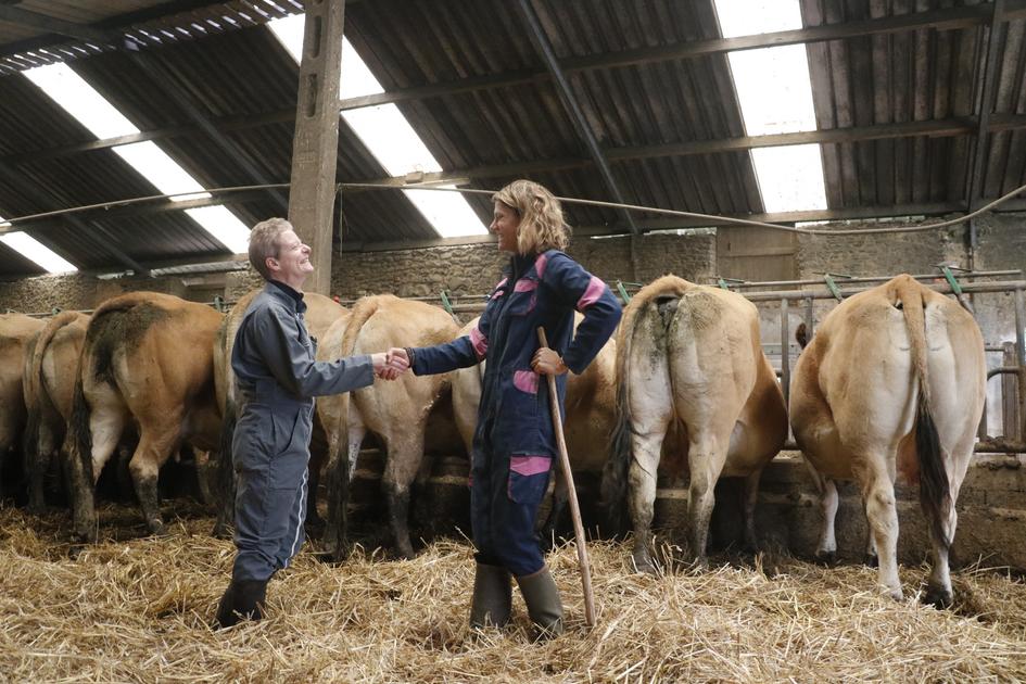 Fusion des GDS et des chambres d'agriculture : « Commencez par faire ...