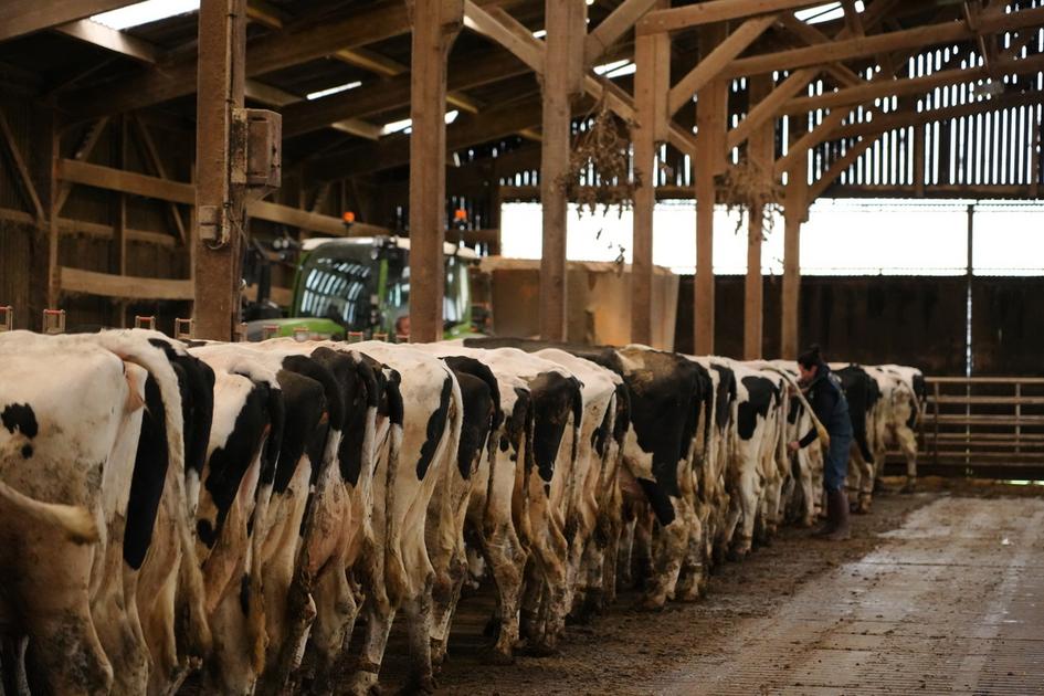 « Les industriels veulent-ils encore faire tourner leur usine avec du ...