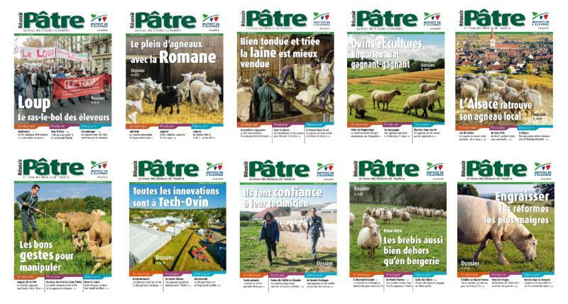 Les articles parus dans Pâtre en 2015 | Réussir Pâtre