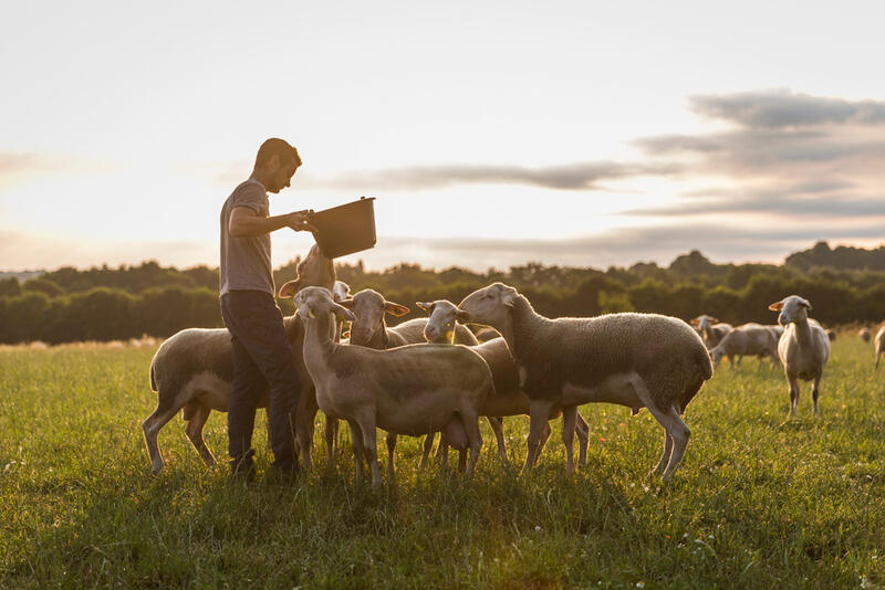 La marque Vrai interroge les consommateurs et les producteurs | Réussir ...