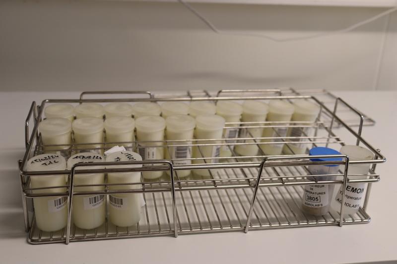 Un jour avec | Un échantillon paiement de lait de brebis, son parcours ...