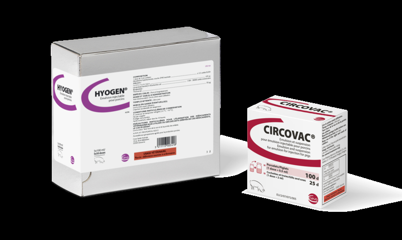Ceva associe ses vaccins Circovac et Hyogen | Réussir porc - Tech porc
