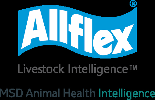 Allflex rejoint MSD Santé animale | Réussir porc - Tech porc