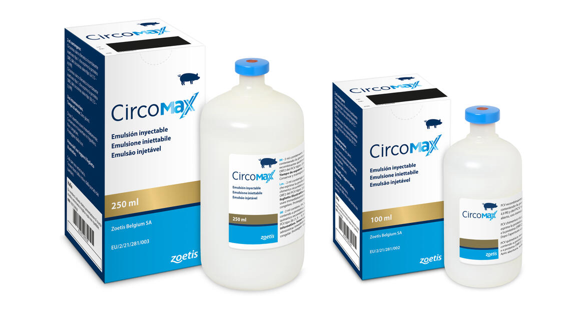Zoetis lance le vaccin CircoMax contre le PCV2 des porcs | Réussir porc ...
