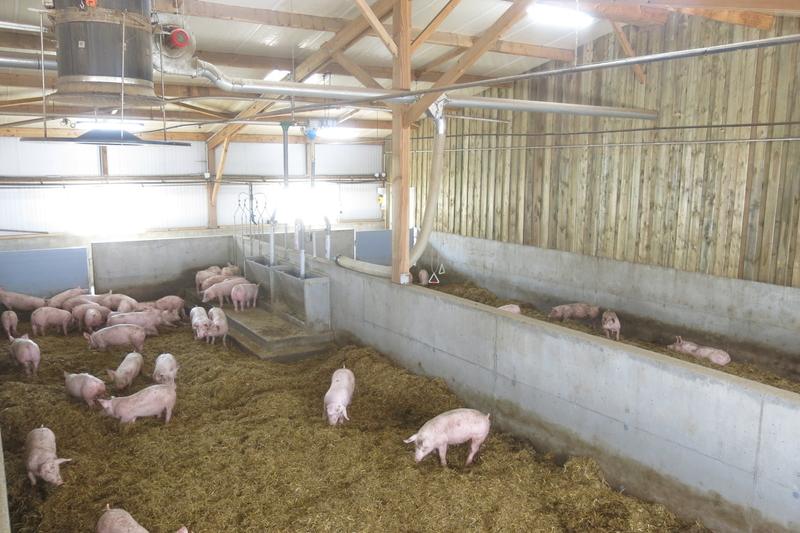 La pression zéro pour mieux gérer l’ambiance des bâtiments de porcs | Réussir porc - Tech porc