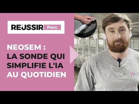 [VIDEO] "Nous gagnons du temps lors de l'insémination de nos truies ...