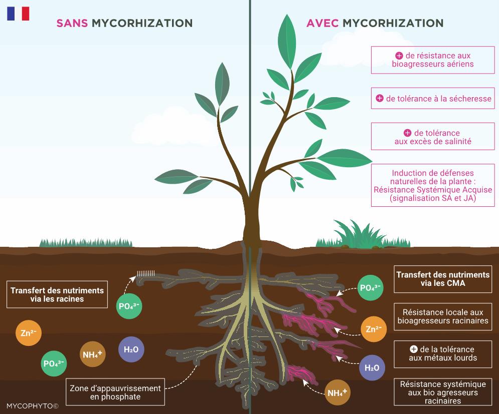 [Contenu partenaire] Découvrez les dernières avancées sur les ...