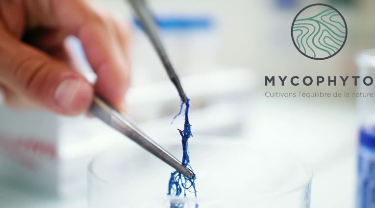 [Contenu partenaire] Découvrez les dernières avancées sur les ...