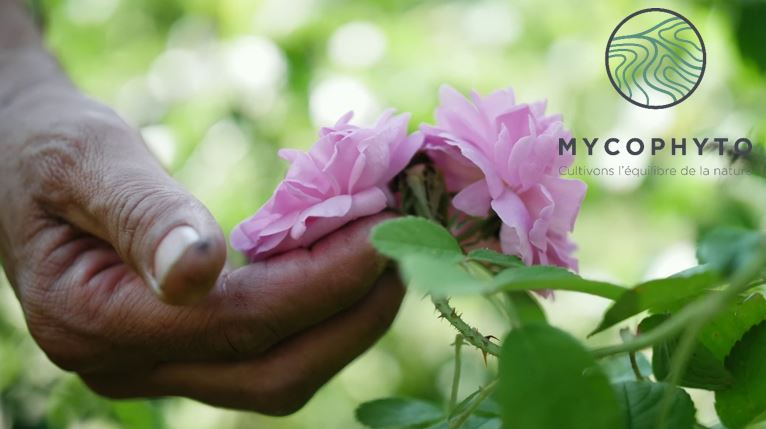 [Contenu partenaire] Découvrez les dernières avancées sur les ...