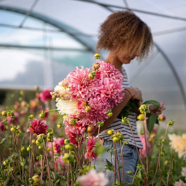 La fleur française ne veut pas se faner avec le confinement | Portail ...