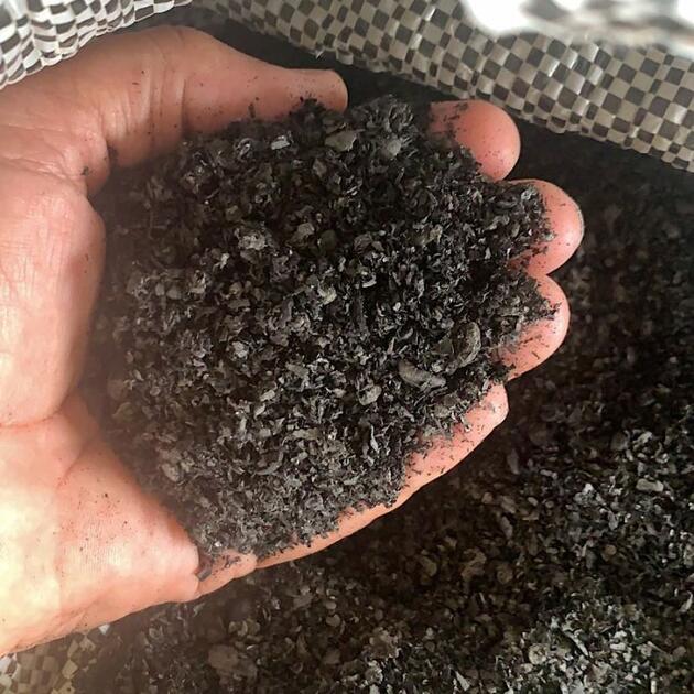 Biochar : l’or noir de la start-up française NetZero, soutenue par Elon ...