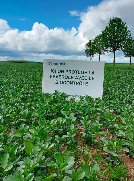 Alternatives aux néonicotinoïdes : Agriodor lève 5 millions d’euros ...