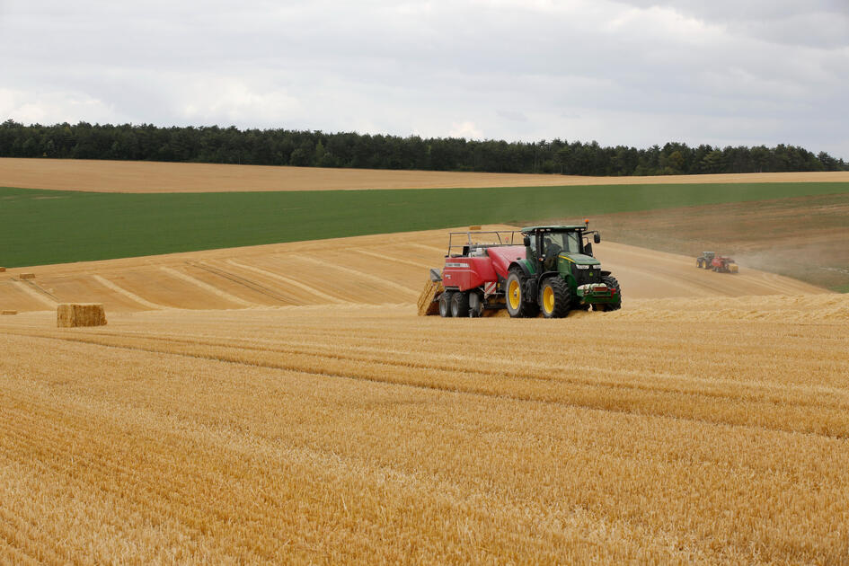 Quels pays dépensent le plus pour leur agriculture dans le monde ...