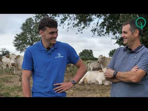 Tour de France. Le Youtubeur Marlonn face aux Charolaises. Episode 7 ...