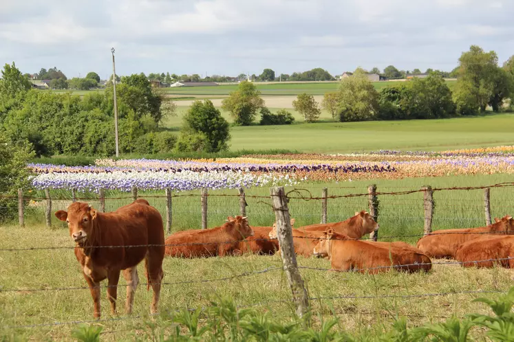 Décarbonation de l’agriculture : 8 start-up fondent « Climate ...