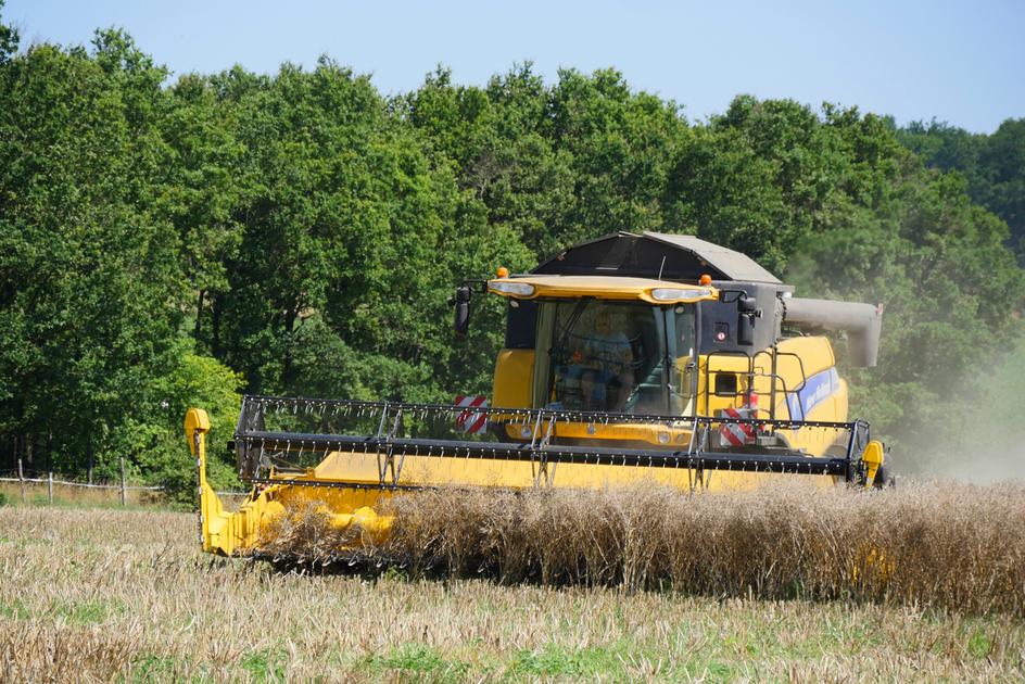 Moisson : des rendements surprenants | Terre de touraine