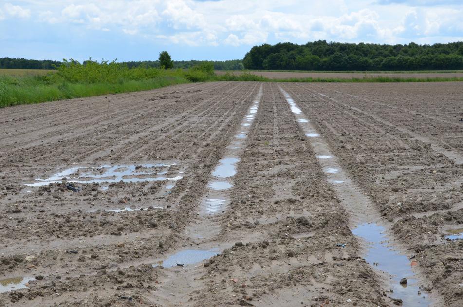 Comment préserver la structure du sol ? | Terre de touraine