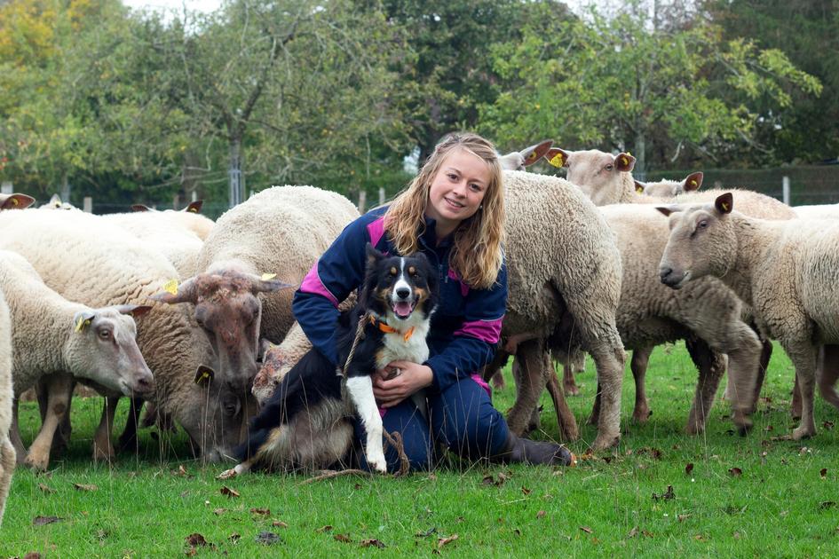 Morine au mois de juillet du calendrier Belles des prés | Union Agricole