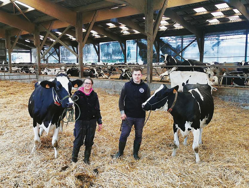 Pierre Vatelier avec trois belles holsteins | Union Agricole