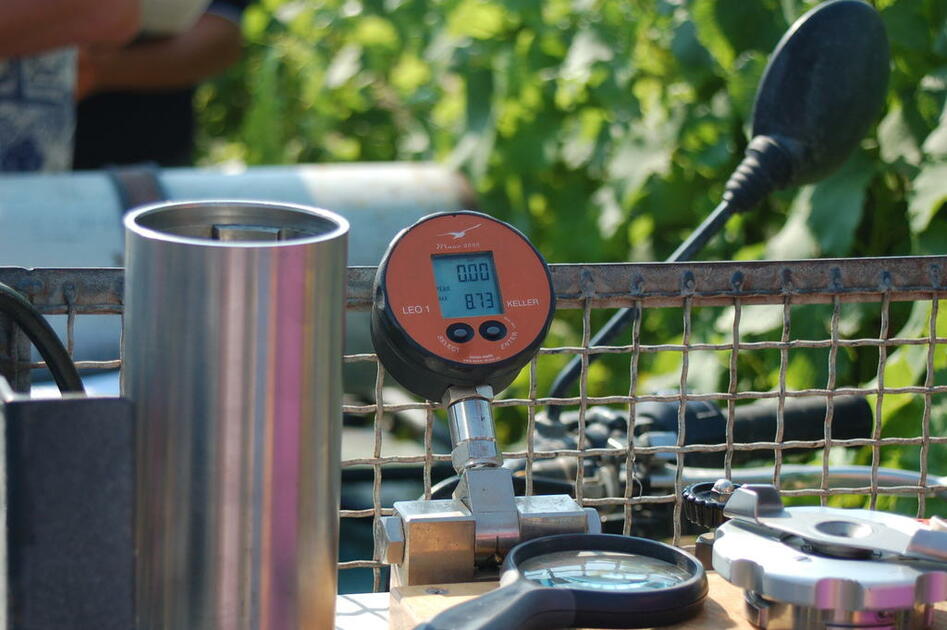 Irrigation en viticulture : mode d’emploi | Réussir Vigne