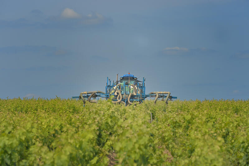 Réduire les doses de cuivre en viticulture, c’est possible ! | Réussir ...