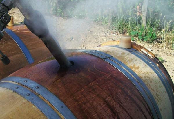 Élevage des vins: penser à la désinfection | Réussir Vigne