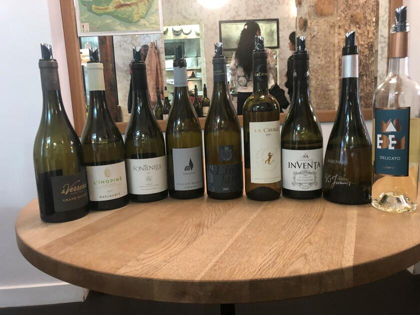 L’AOC luberon pousse ses vins blancs | Réussir Vigne