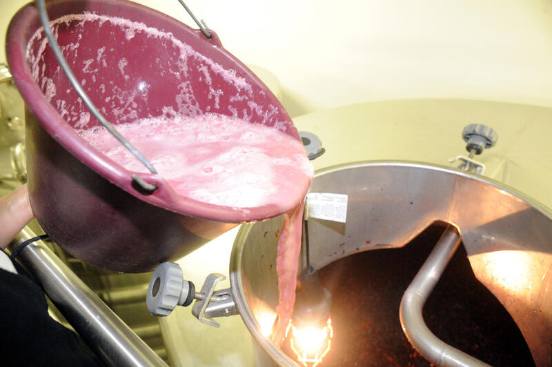 Vinification et élevage du vin : les dernières avancées | Réussir Vigne