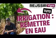 Irrigation : comment remettre son système en eau ? | Réussir Vigne