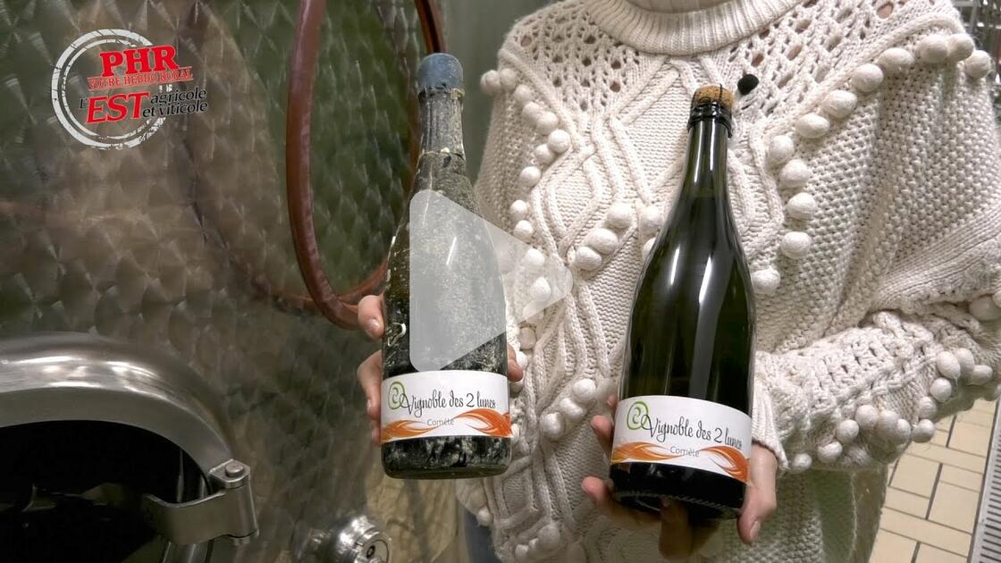 [Vidéo] Le Vignoble des 2 lunes a testé l'immersion de deux crémants ...
