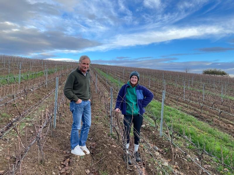 Transmission : « J’ai restructuré une partie de mes parcelles viticoles ...