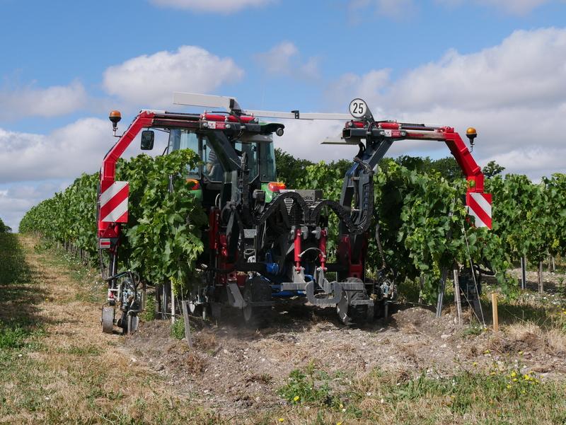 Entretien du sol en vigne à moindre coût : trois vignerons témoignent ...