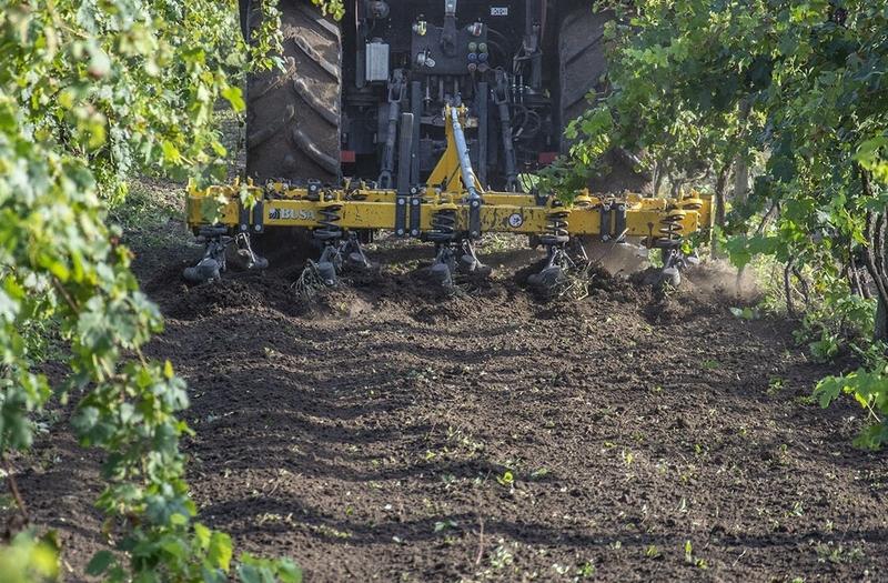 Travail du sol dans les vignes : « Le Busa, c'est un super outil, on ...