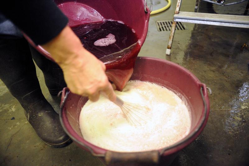 Vinification : comment bien utiliser les levures acidifiantes ...