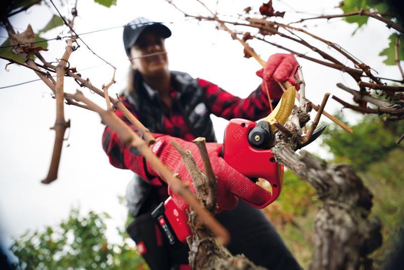 Felco - Le 834, un sécateur électrique avec et sans fil au catalogue ...