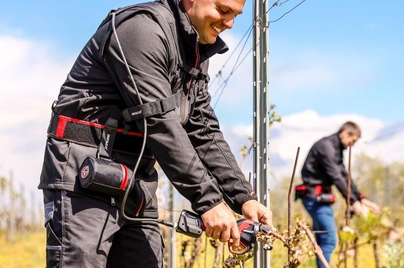Infaco - L’attacheur AT1000 proposé en version filaire | Réussir Vigne