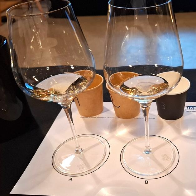 Vinification : de l'intérêt de l'acide malique | Réussir Vigne