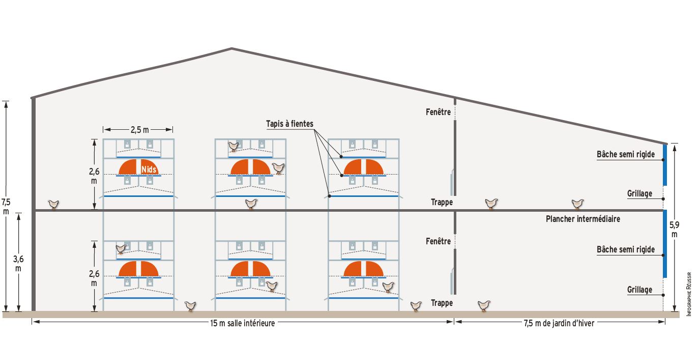 Un bâtiment de poules pondeuses en cages converti en volière avec ...