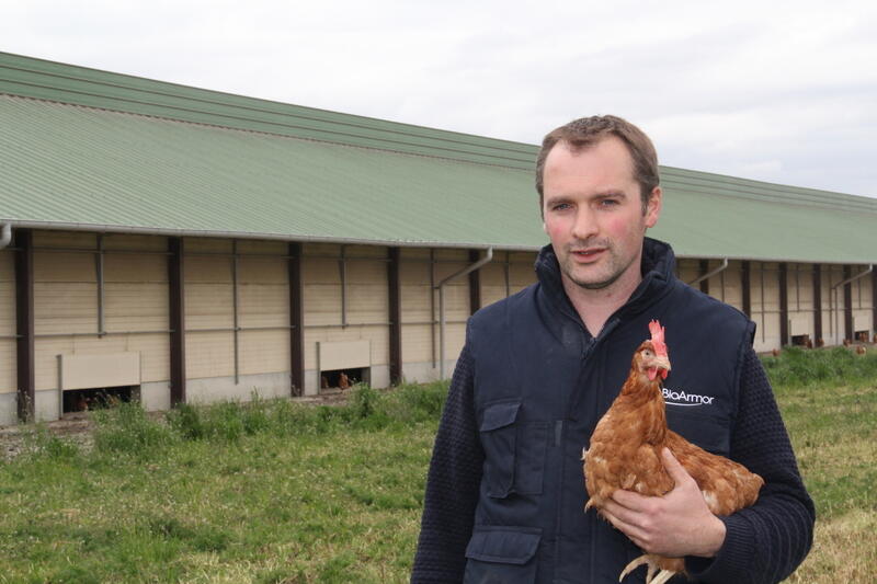 Créer du lien avec Twitter | Réussir volailles